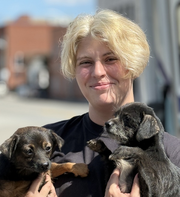 Angels of Assisi rescues more than a dozen stray dogs from McDowell ...