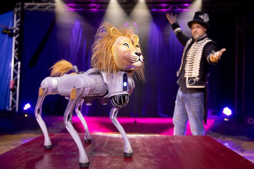 World's first robotic circus lion goes on show in Cornwall