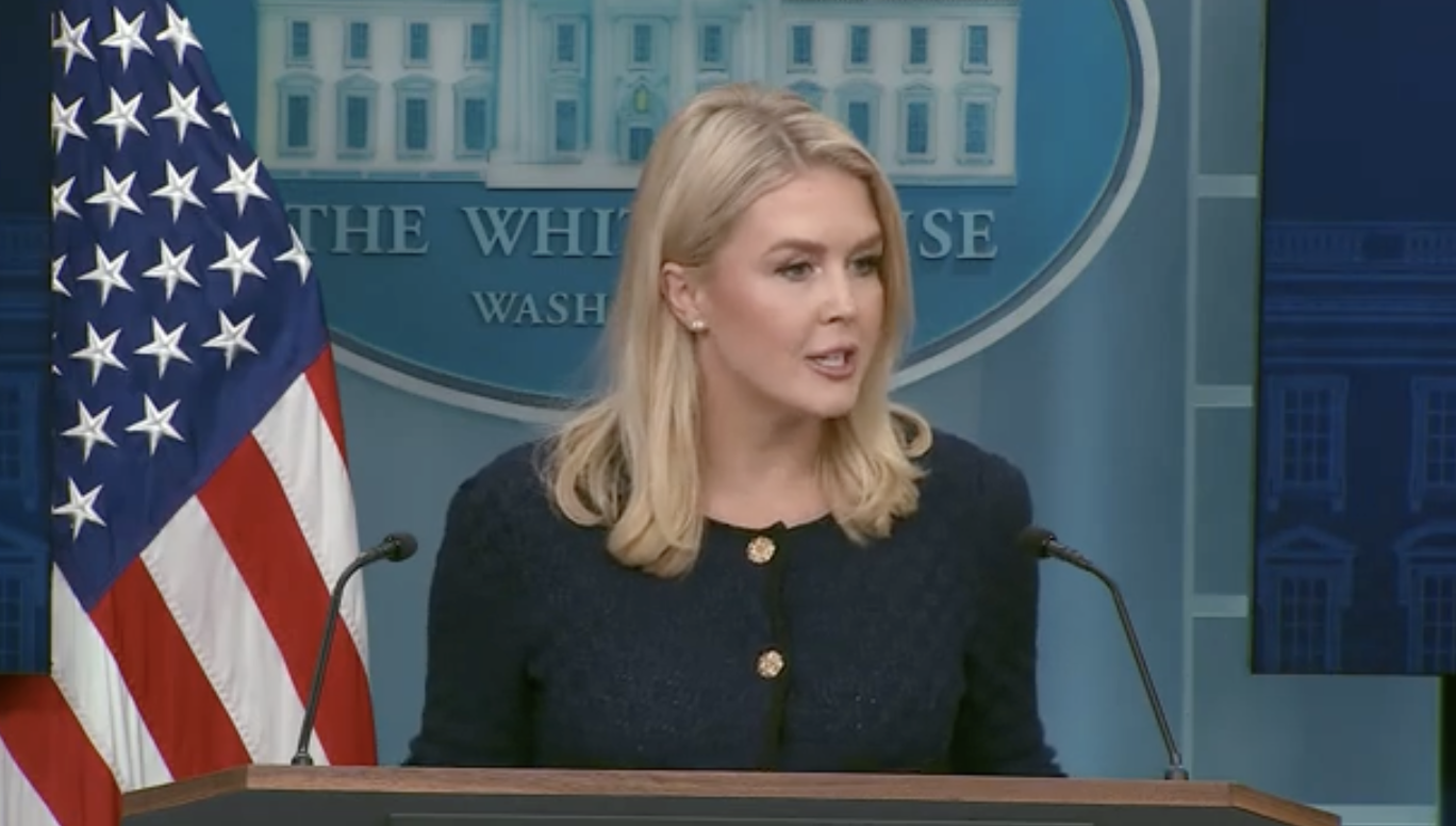 'He's Not Afraid To Use Tariffs': When Karoline Leavitt Touted Trump's ...