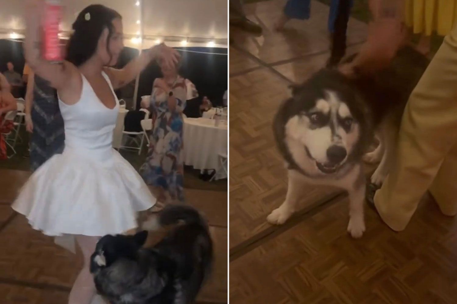 Bride Believes Best Friend Who Died 10 Months Before Her Wedding Sent ...