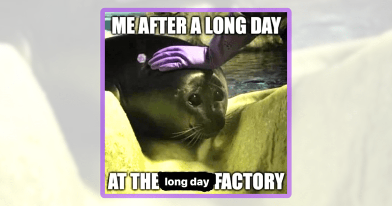 25 Unhinged Animal Memes for People Whose Last Brain Cell is a ...