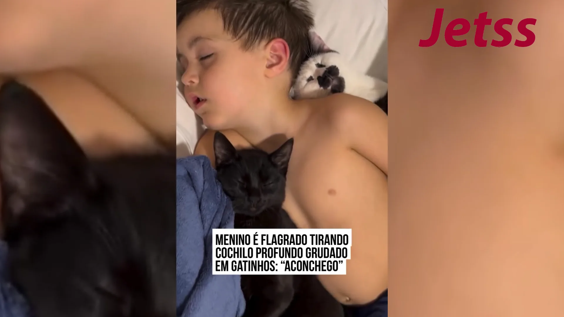 Momento fofura: Menino é flagrado dormindo ao lado de gatinhos