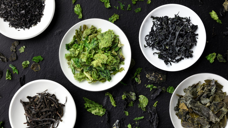 10 Types Of Seaweed And How To Eat Them