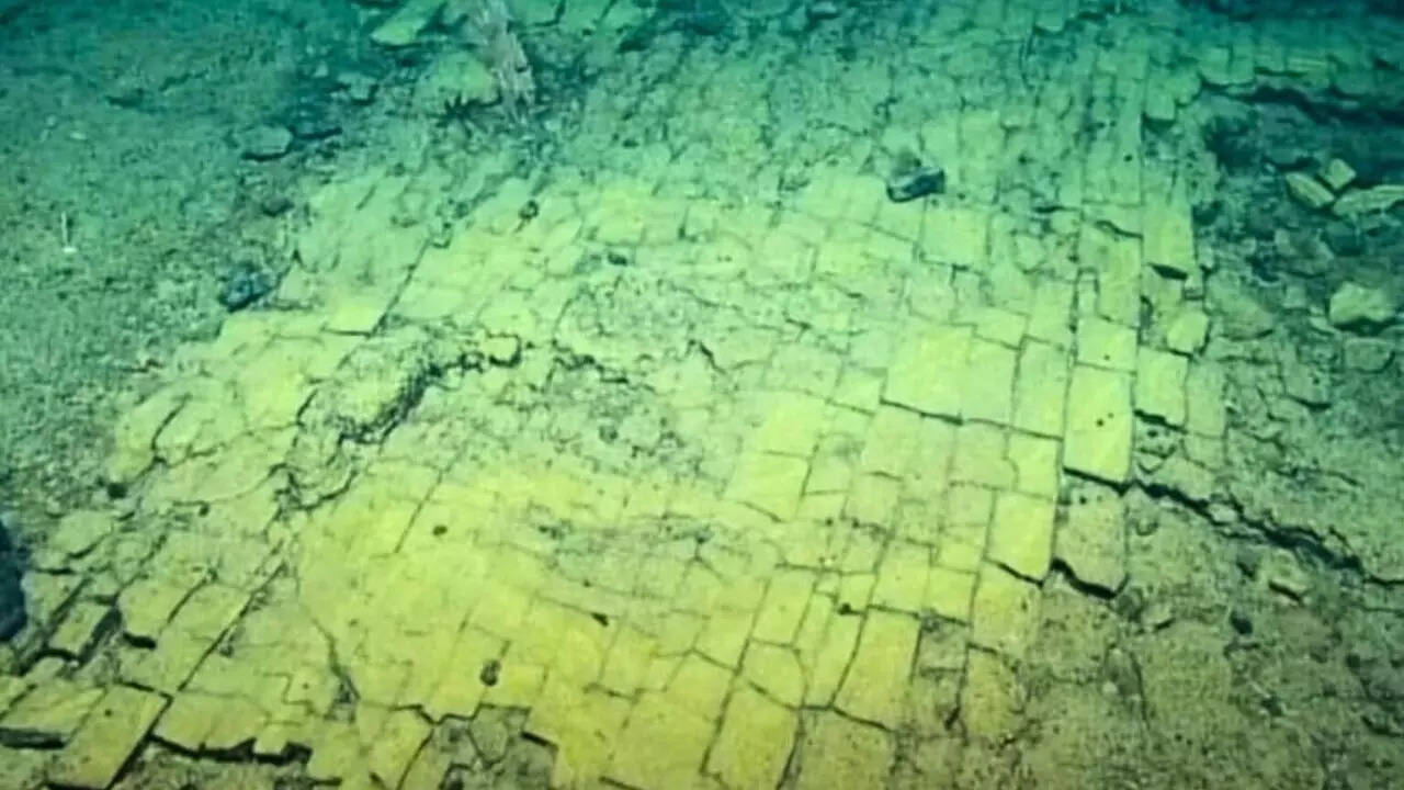Scientists find ‘yellow brick road’ deep beneath the Pacific Ocean: The ...