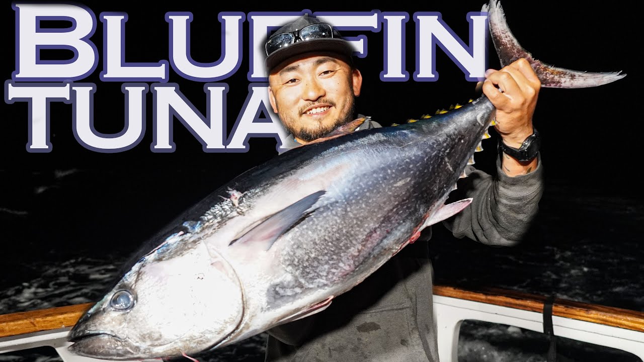 The bluefin tuna trip of a lifetime