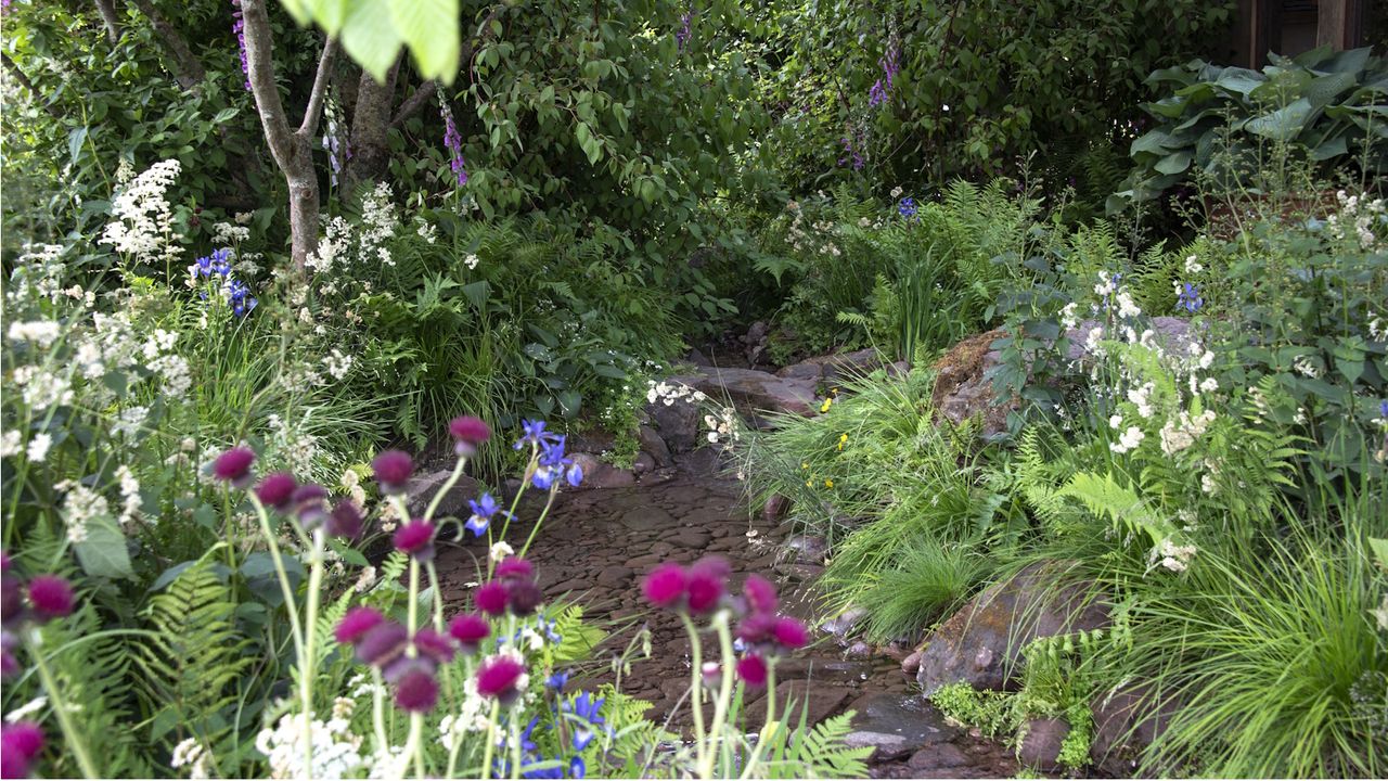 Avoid growing these 5 plants that attract Japanese beetles, warn pest ...