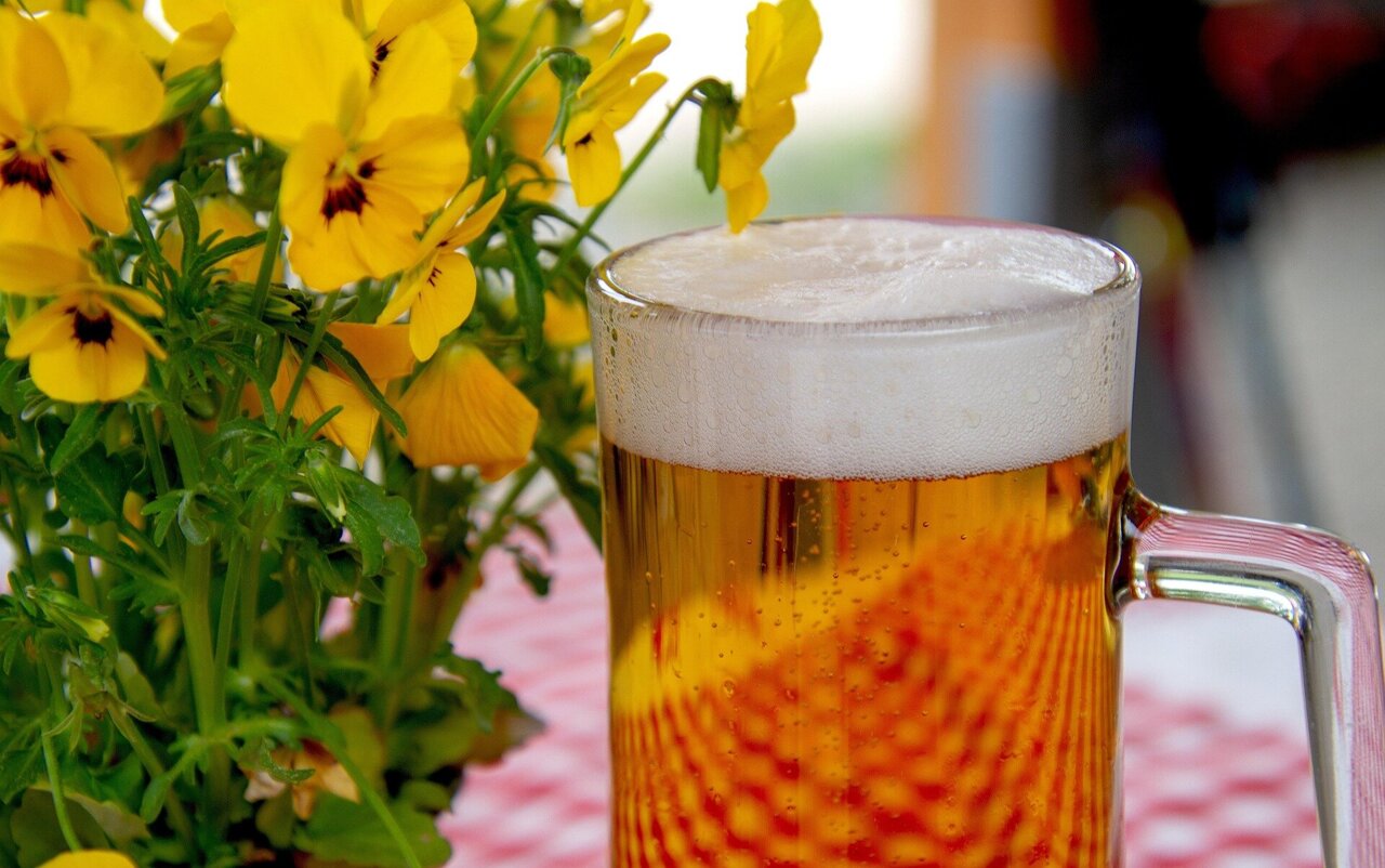 Why the foam on Belgian beers lasts so long