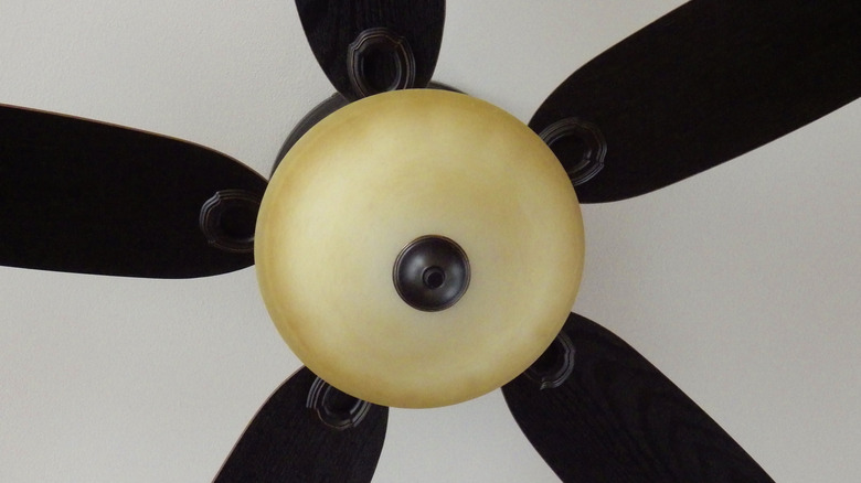 Thrift A Ceiling Globe For An Unexpected Yard DIY