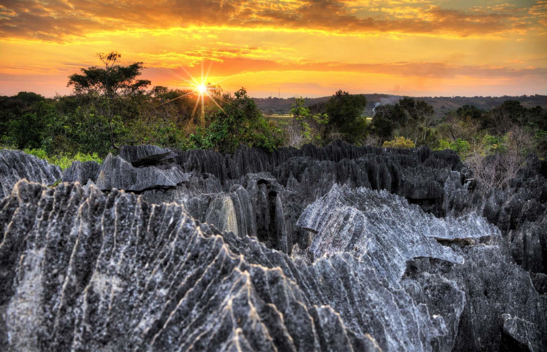 Don't be fooled: these cute animals could kill you