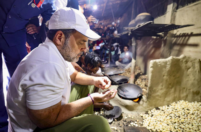 Bihar's makhana turns poll plank: Are farmers getting their due ...