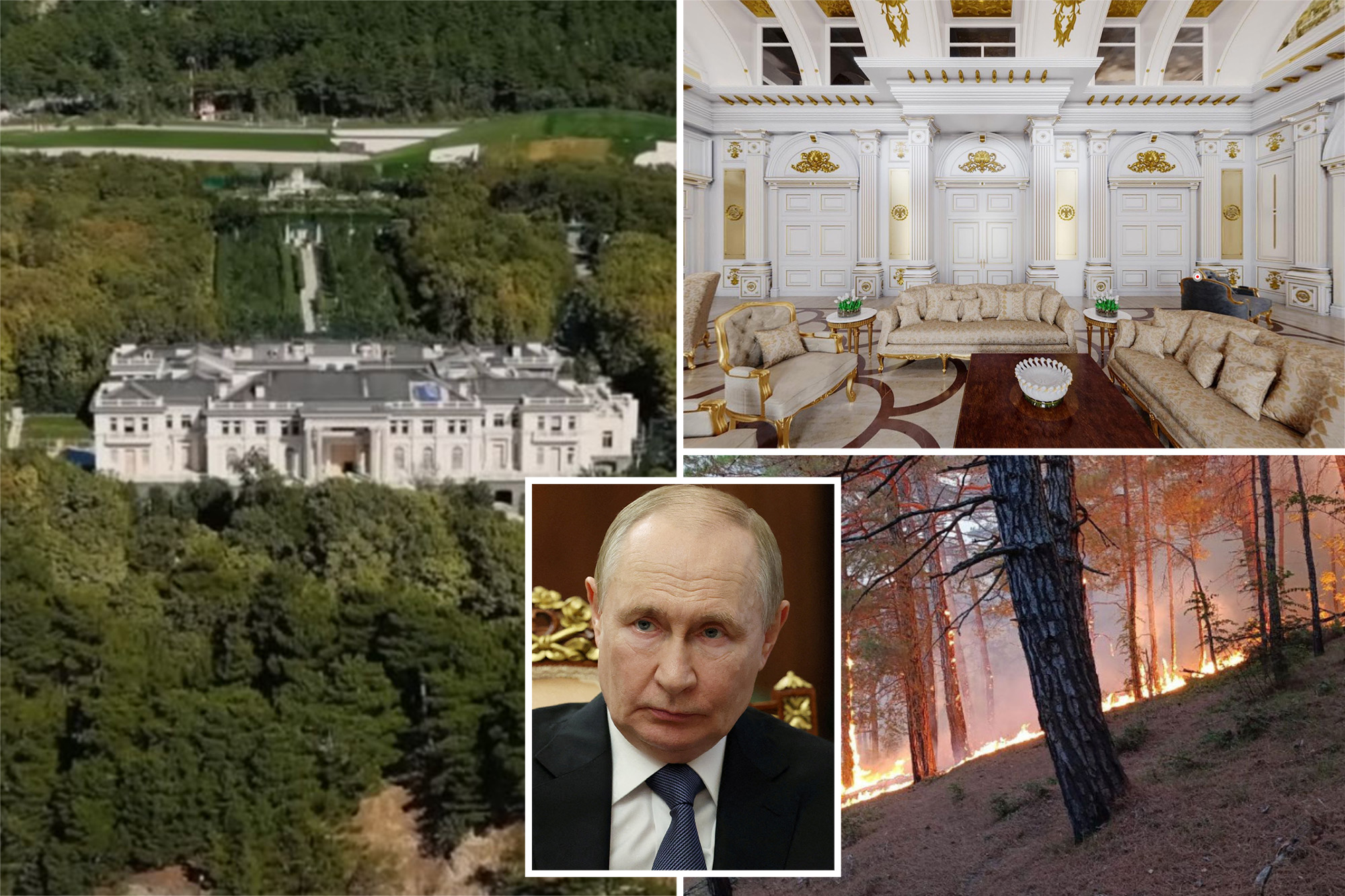 Downed Ukrainian drone sparks massive forest fires just miles from ...
