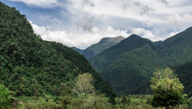 Family's generous gift will transform crucial US forests: 'Ensuring the ...