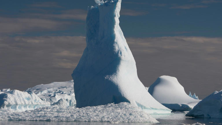 ‘Aaron Rodgers Isn’t the Quarterback He Once Was’: NFL Expert Bill ...