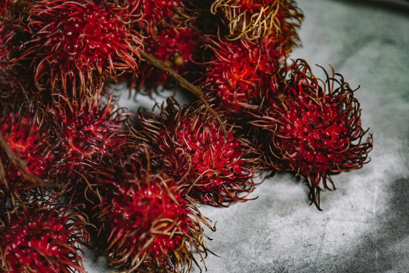 15 Unique Fruits To Add To Your Food Bucket List