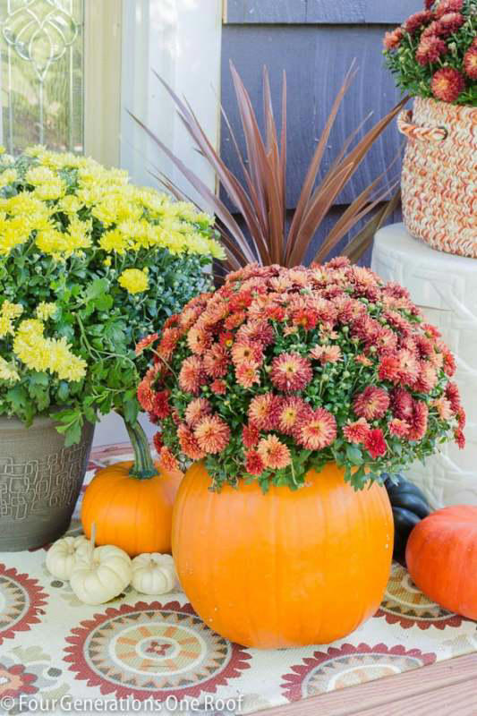 30 Fall Planter Ideas That Instantly Upgrade Your Porch This Season