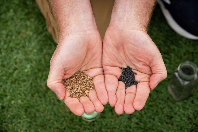 S.F. Giants' $45M plan to modernize community ball fields stirs fight ...