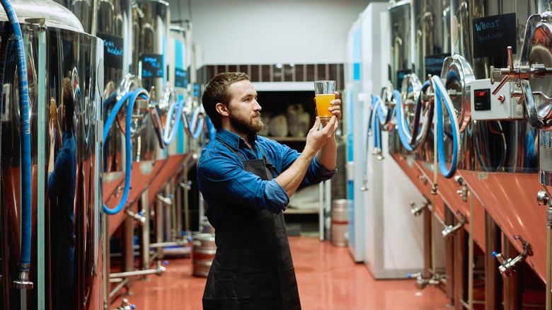 The Most Popular Beers You Can Find At A Brewery, Explained
