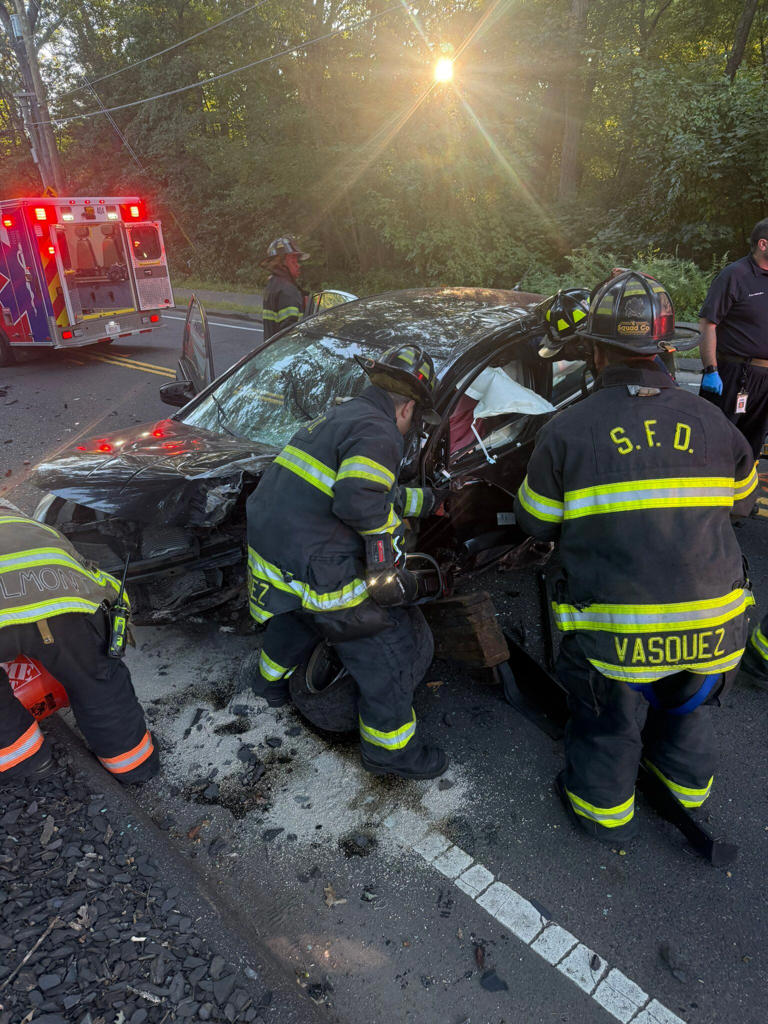 Car crashes into tree in Springfield