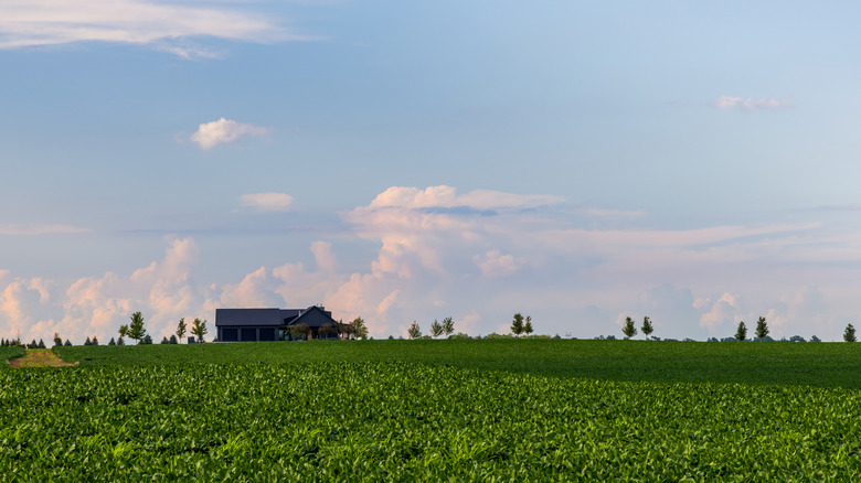 The 'Polish Capital Of Nebraska' Is A Little City With Recreation ...