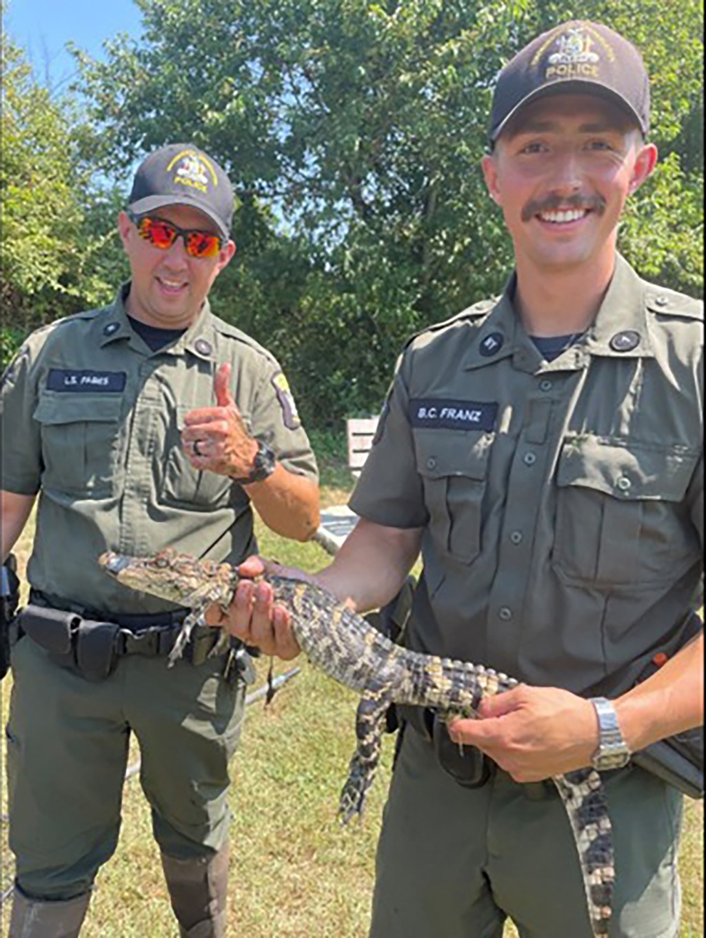 Gator-aid : Alligator discovered in Long Island pond as dangerous trend ...