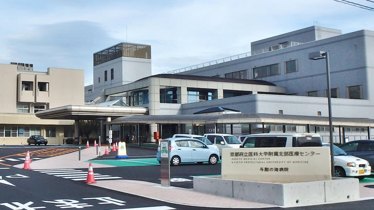 Japan begins first human trial of a tooth-regrowth drug