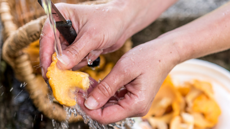 How To Wash Mushrooms Without Accidentally Making Them Soggy