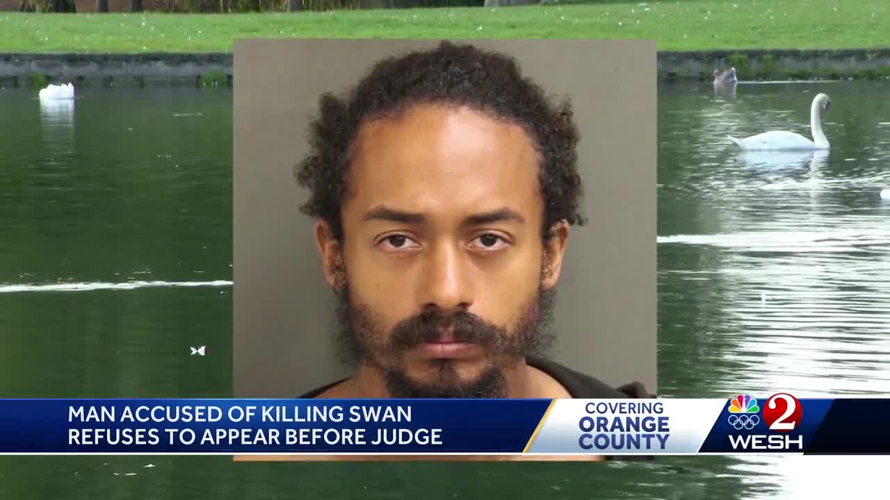 Man arrested for killing Lake Eola swan refuses to go before a judge