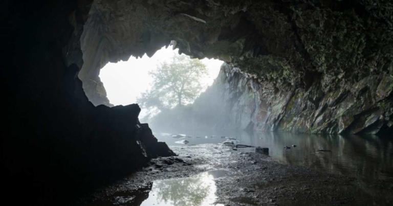 Scientists finds strange ecosystem in cave sealed for 5 million years