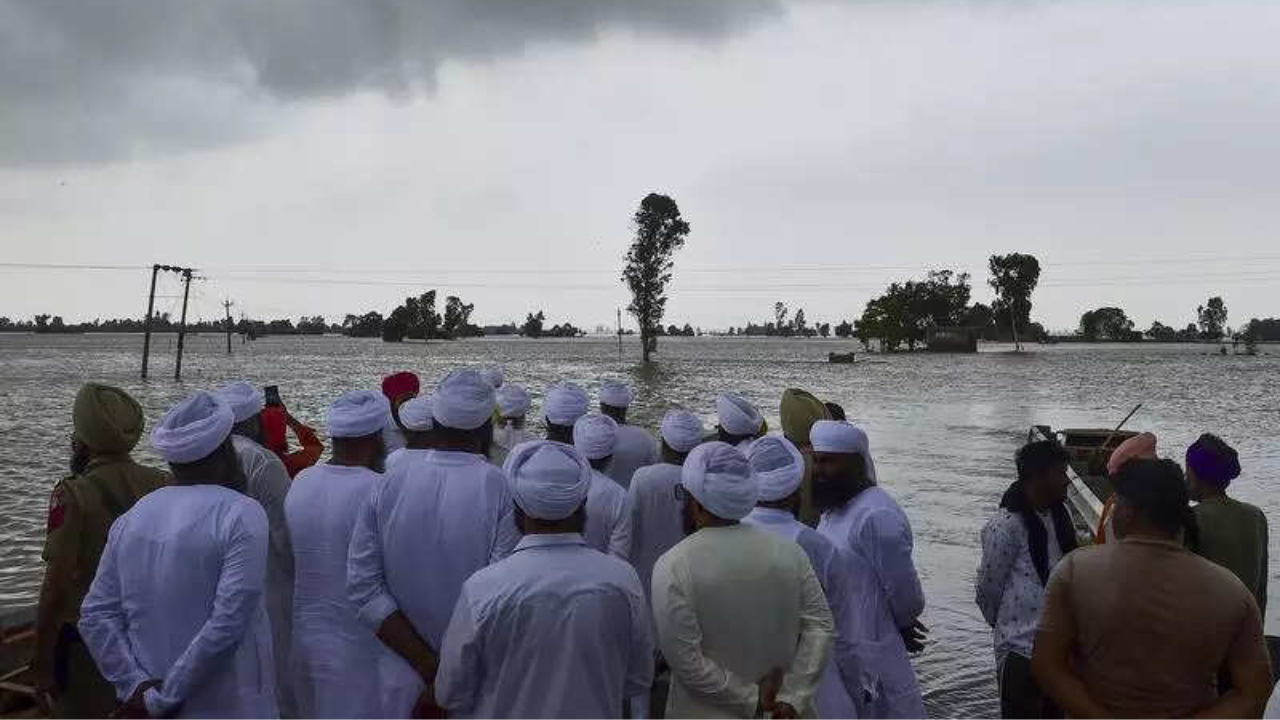 Punjab’s worst floods in nearly 4 decades: Crops on 3 lakh acres ...