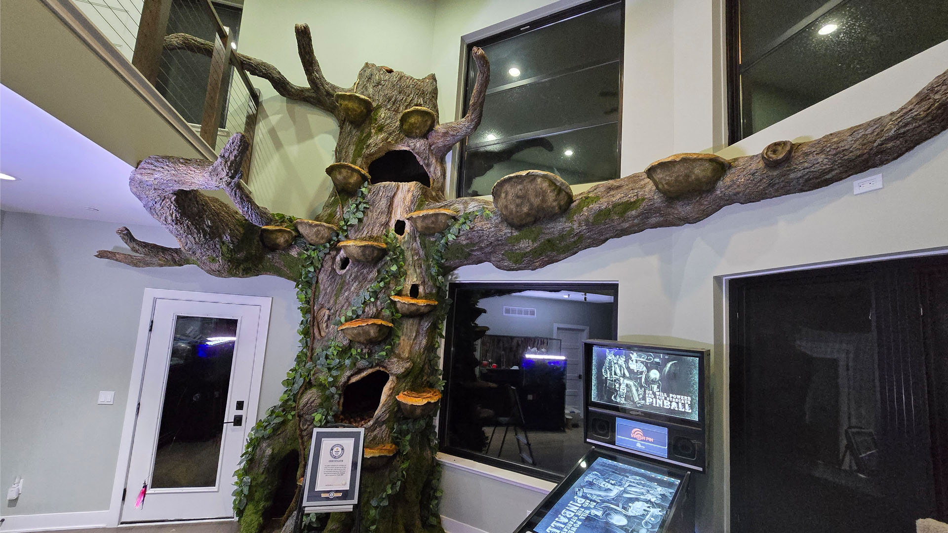 World’s tallest domestic cat Fenrir gets a 4.9 m scratching tree