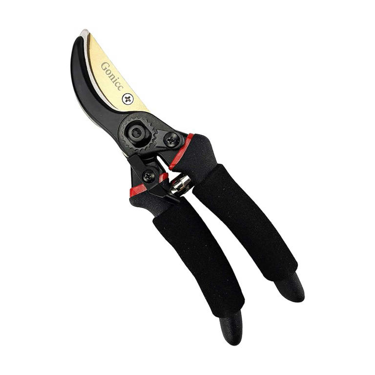 Are aphids attacking your plants? Try this tomato foliage spray – an ...