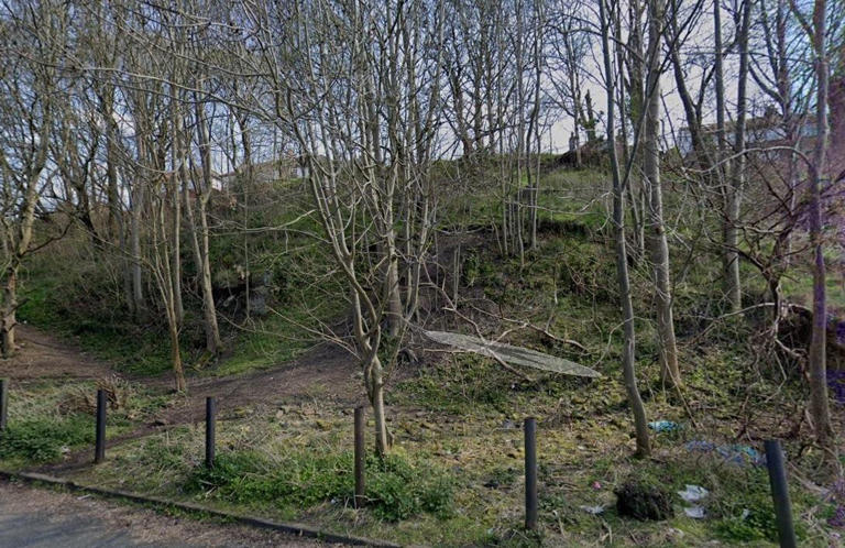 Approved planning application: New six- home terrace approved for ...