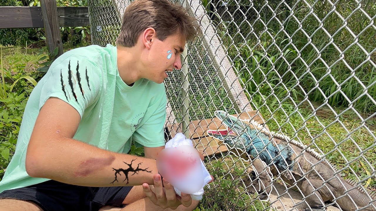 Injured by my own animals | What happened