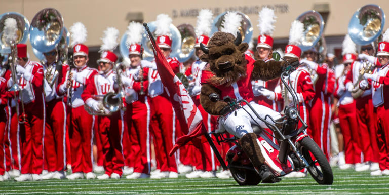 Indiana's bison mascot makes dramatic appearance, flying into Memorial ...