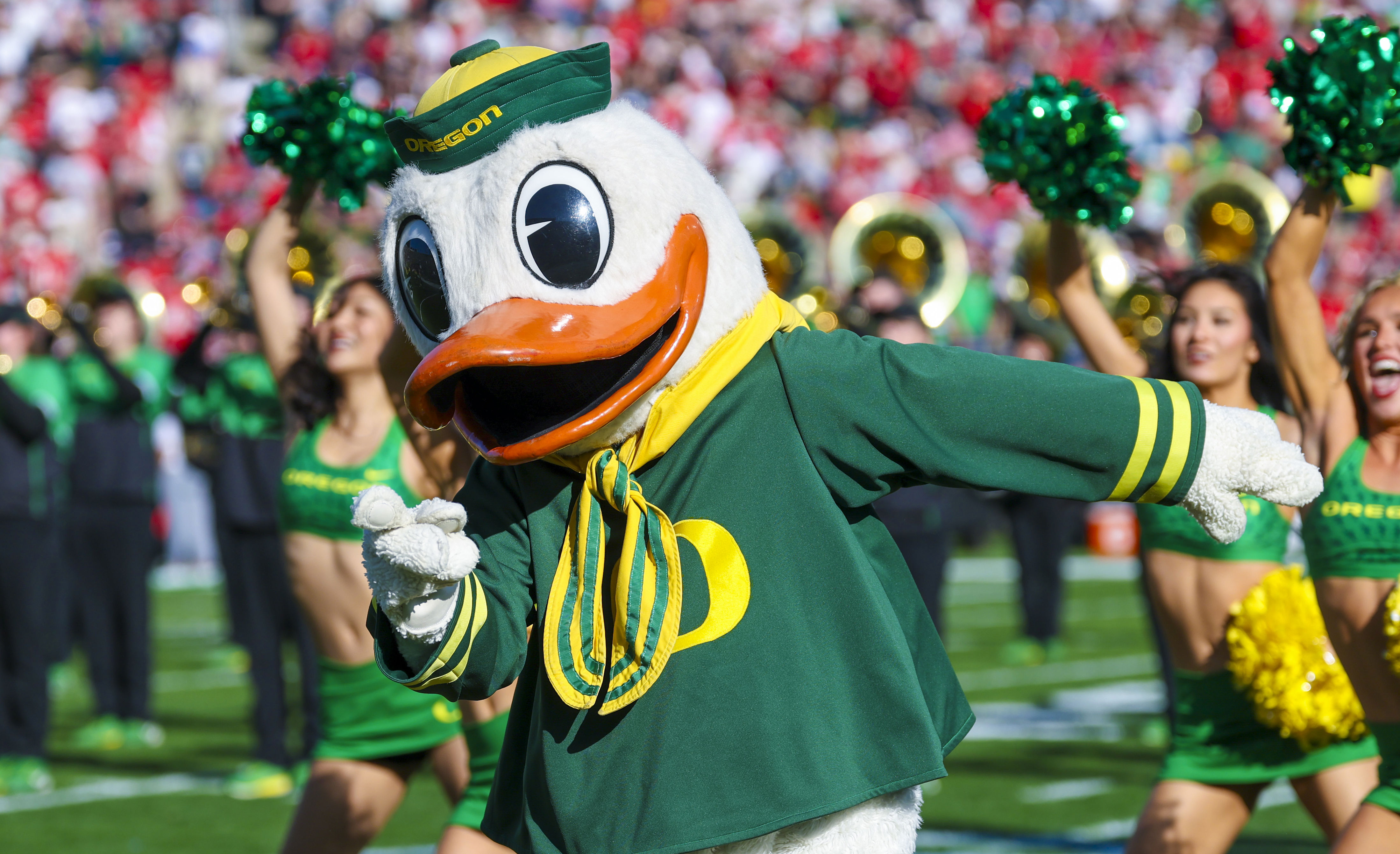 Oregon mascot Puddles sprints back into tunnel after losing his head