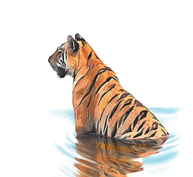Kerala mulls law amendment to kill or capture dangerous wild animals