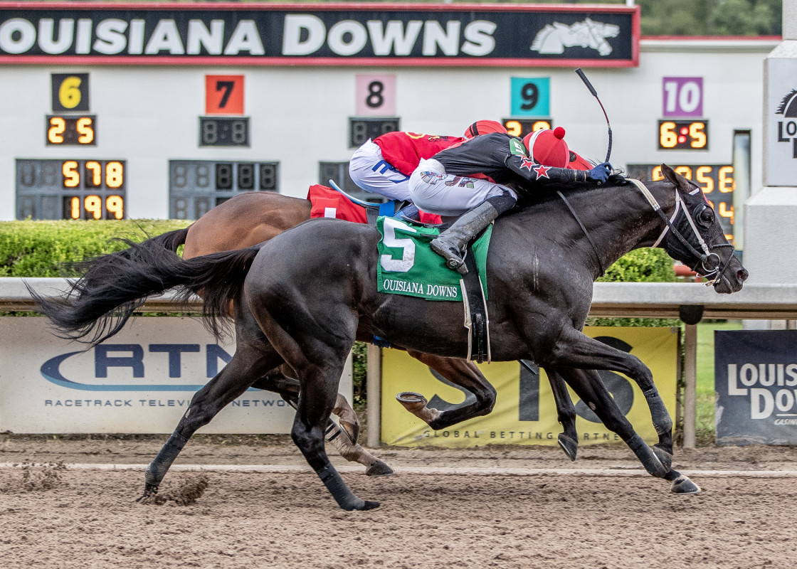 Louisiana-Breds Shine On Louisiana Cup Card