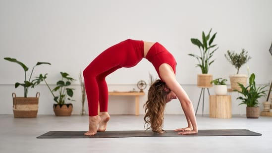 11 easy yoga poses for beginners and seniors to boost flexibility and ...