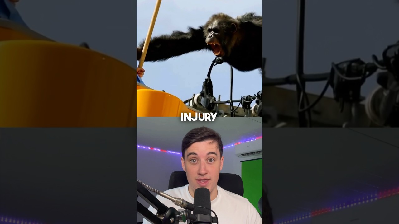 The escape of a dangerous chimp from a zoo facility