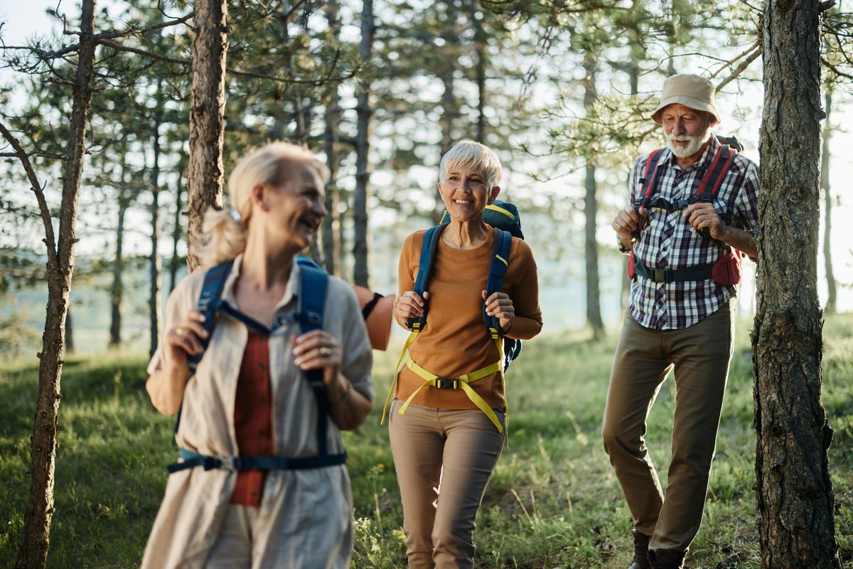 Scientists say if you're over 50, this hobby can improve your brain health