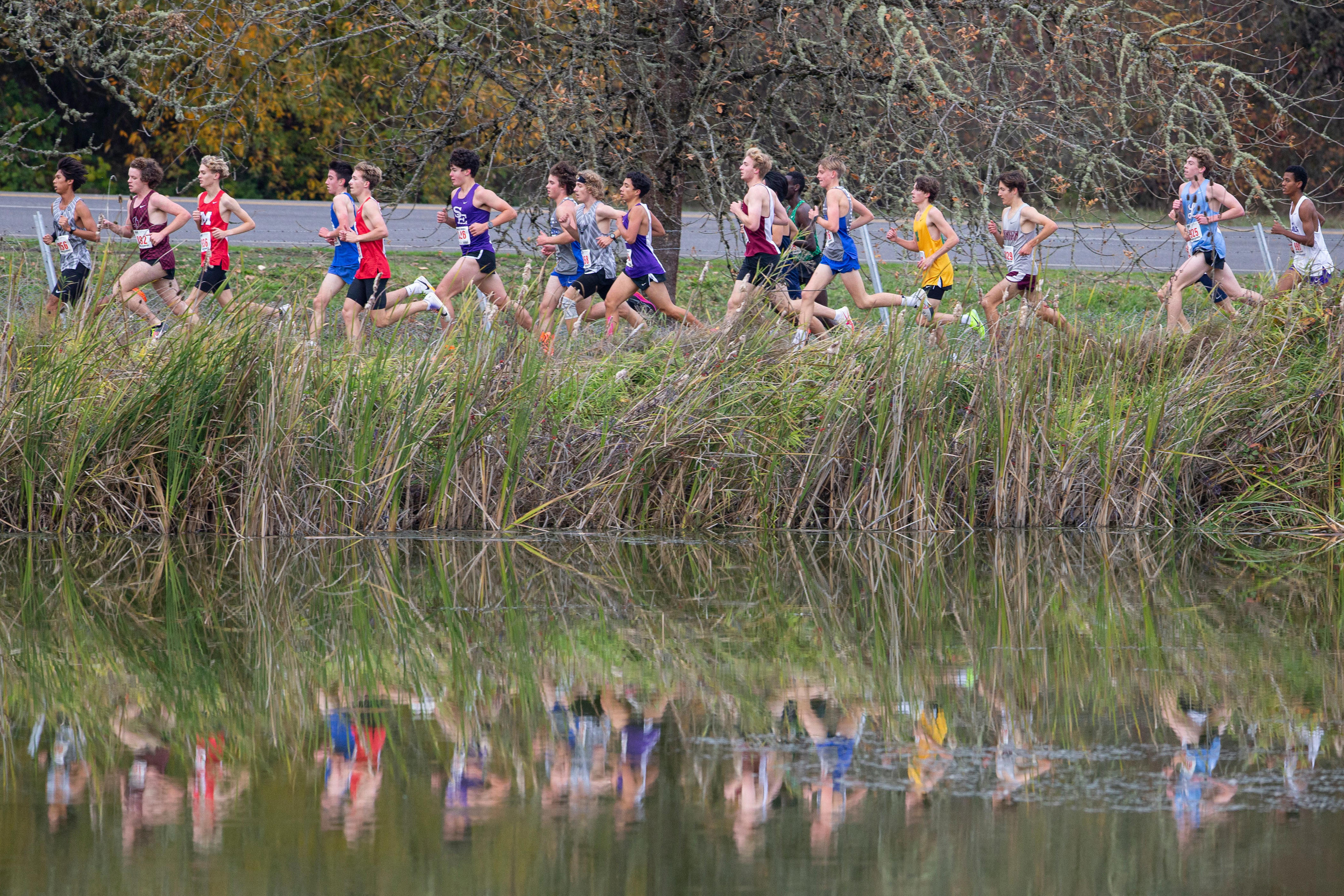 Harrisburg athlete voted area boys cross-country runner of the year