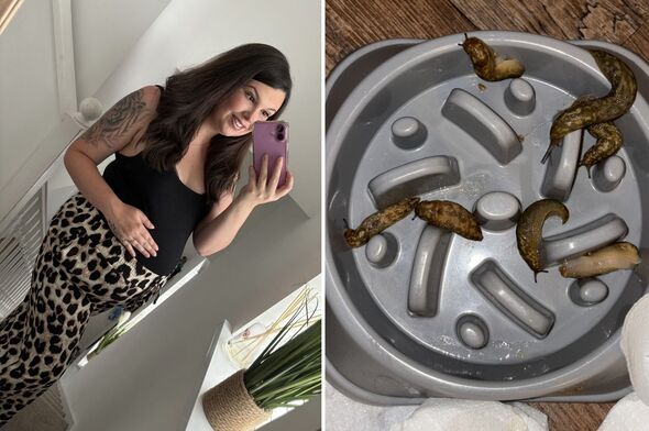 Pregnant mum hits out at horror mould-ridden council house that's ...
