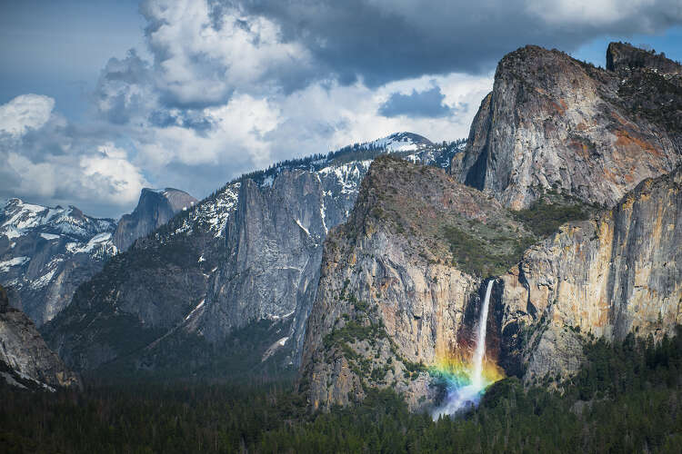 The National Park Service used to kill predators 'right and left.' This ...