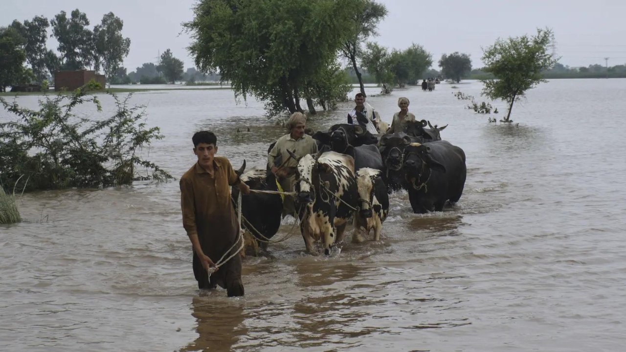 33 killed, 7 lakh evacuated: Pakistan's Punjab faces biggest flood in ...