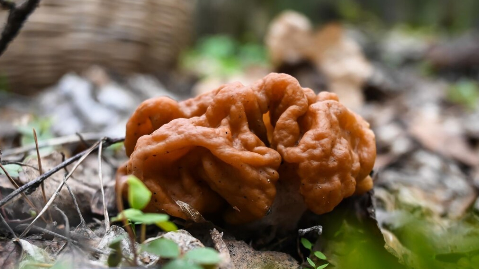 Este alimento supuestamente “saludable” en realidad está relacionado ...