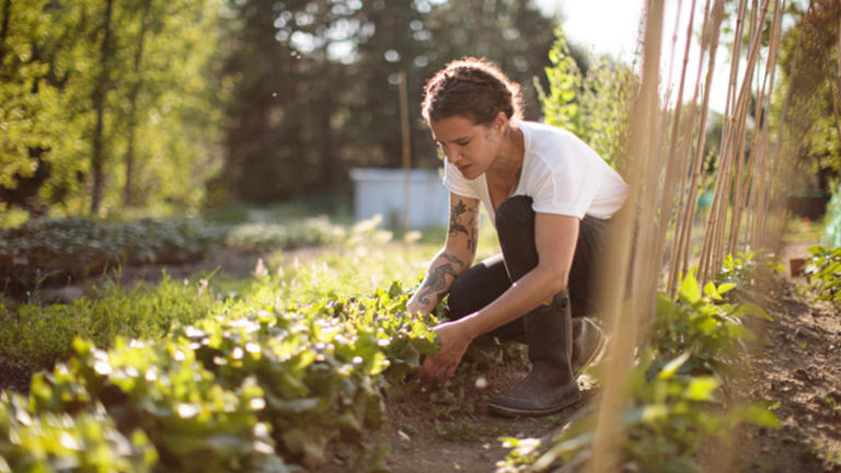 I tried moving like people in the Blue Zones for a week — and I have ...