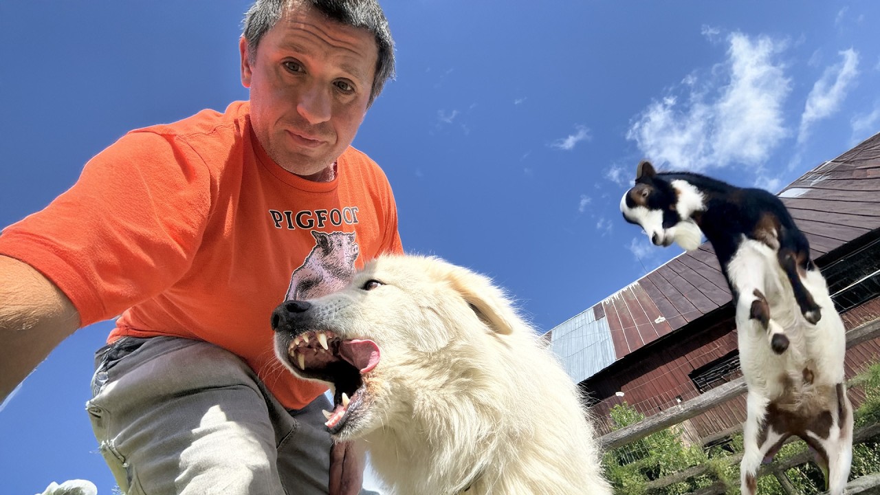 The thing that bugs farmers the most about farm life