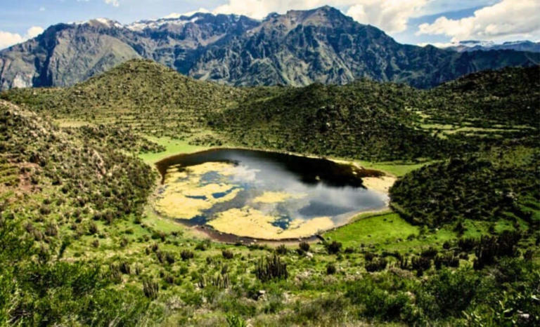 An Ancient Temple Discovered in Bolivia Reveals Secrets of an Extinct ...