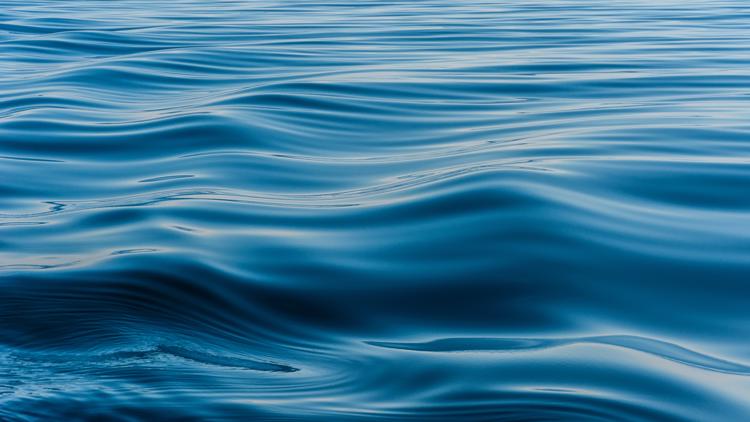 Southern Iowa man pulled from Taylor County lake, pronounced dead ...