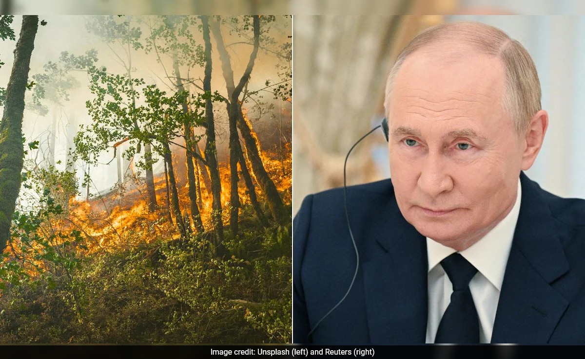 Downed Ukrainian Drone Sparks Massive Forest Fires Near Vladimir Putin ...